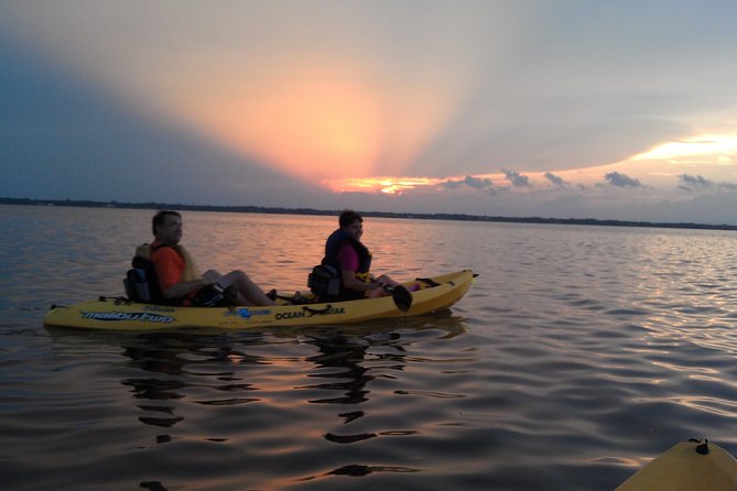 Guided Kayak Tour with Manatee & Dolphin Sightings - What Travelers Say
