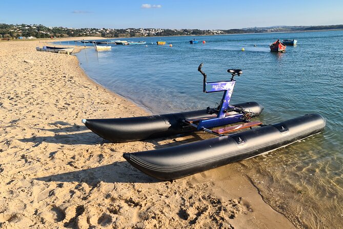 Guided Kayak Tours in the Óbidos Lagoon - Meeting and End Points