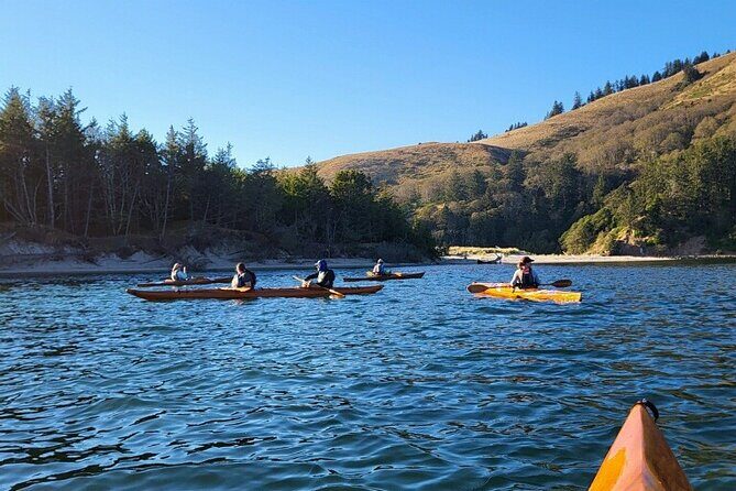 Guided Kayak Tours on the Salmon River Estuary in Otis, Oregon - Key Points