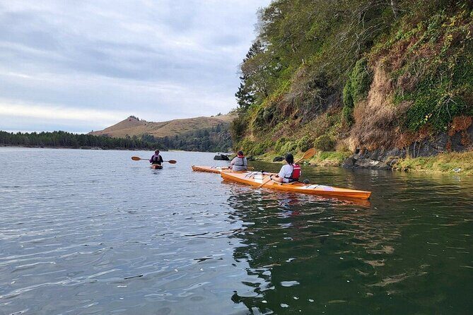 Guided Kayak Tours on the Salmon River Estuary in Otis, Oregon - Who Should Do This Tour?