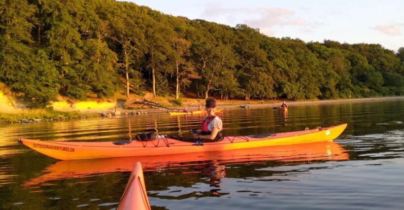Guided kayaking on Roskilde Fjord: Private tour - The Itinerary and What You’ll Experience