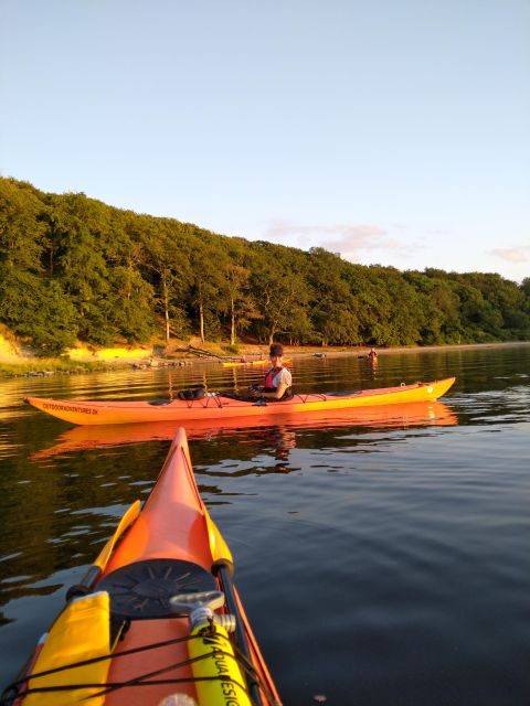 Guided kayaking on Roskilde Fjord: Private tour - The Value for Money
