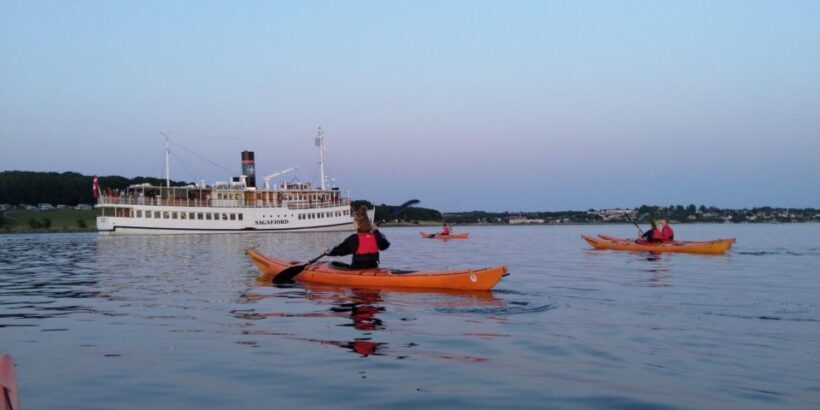 Guided kayaking on Roskilde Fjord: Private tour - Who Should Consider This Experience?