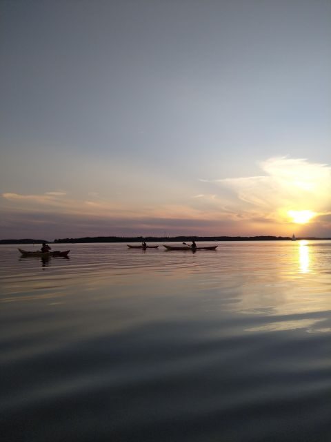 Guided kayaking on Roskilde Fjord: Sunset tour - An In-Depth Look at the Roskilde Fjord Sunset Kayaking Tour