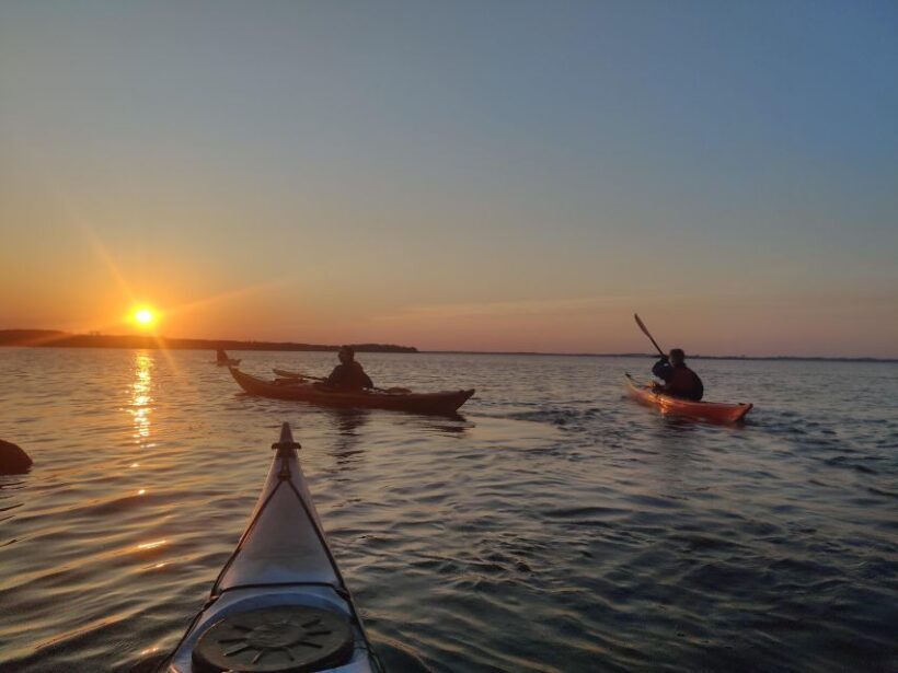 Guided kayaking on Roskilde Fjord: Sunset tour - Who Will Love This Experience?