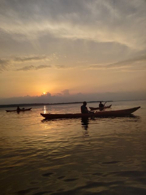 Guided kayaking on Roskilde Fjord: Sunset tour - FAQ