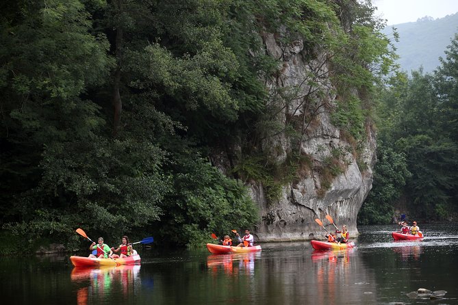 Guided Kayaking on the Nalón River Oviedo - Navigating the Nalón River