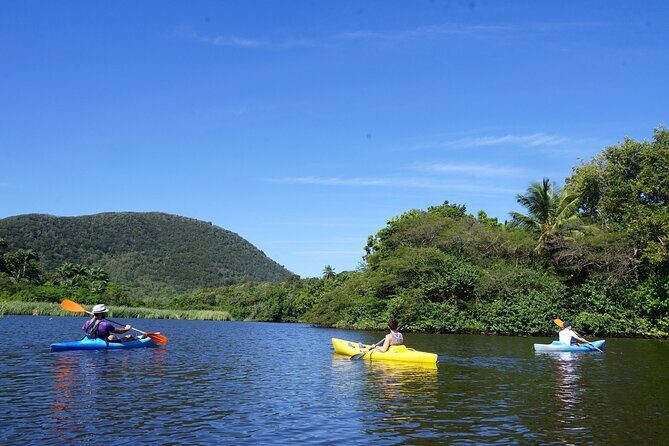 Guided Kayaking Tour of the Mitan Pond and its Mangrove - Final Thoughts