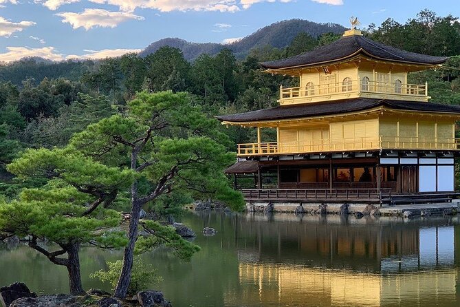 Guided Kyoto City Cherry Blossom One Day Private Tour - Meeting and Pickup
