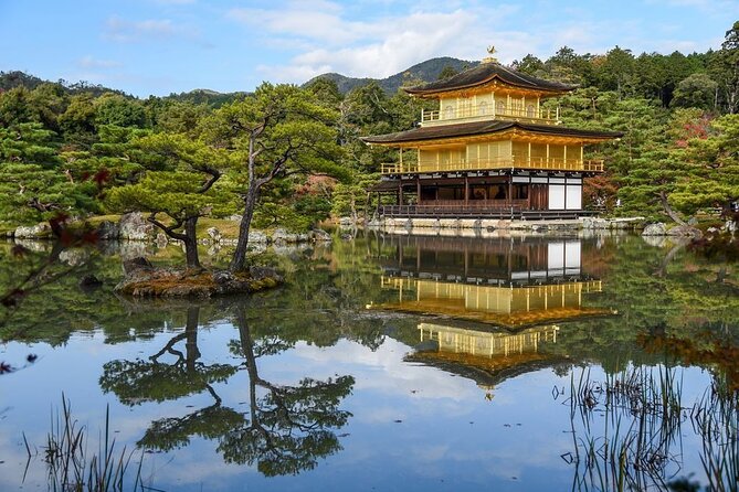Guided Kyoto City Cherry Blossom One Day Private Tour - Exploring Kyotos Cherry Blossoms