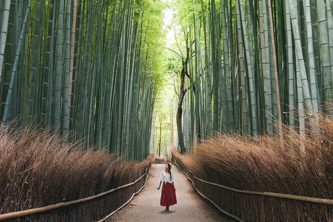 Guided Kyoto City Cherry Blossom One Day Private Tour - Transportation and Accessibility