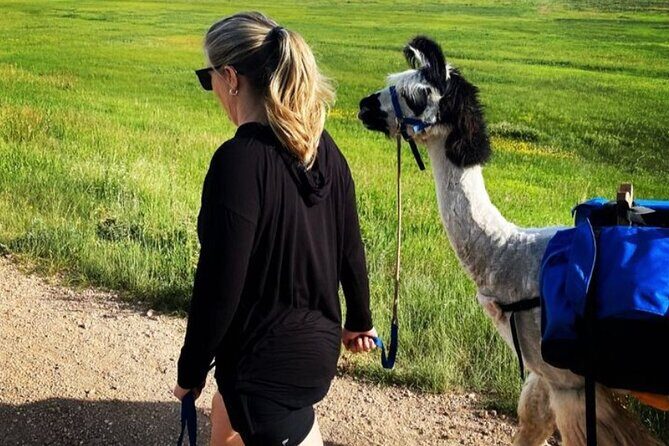 Guided Llama Hike in the Rocky Mountains - Frequently Asked Questions (FAQs)