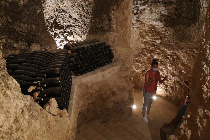 Guided Madrid Countryside Wine Tasting & Winery Tour - Inclusions