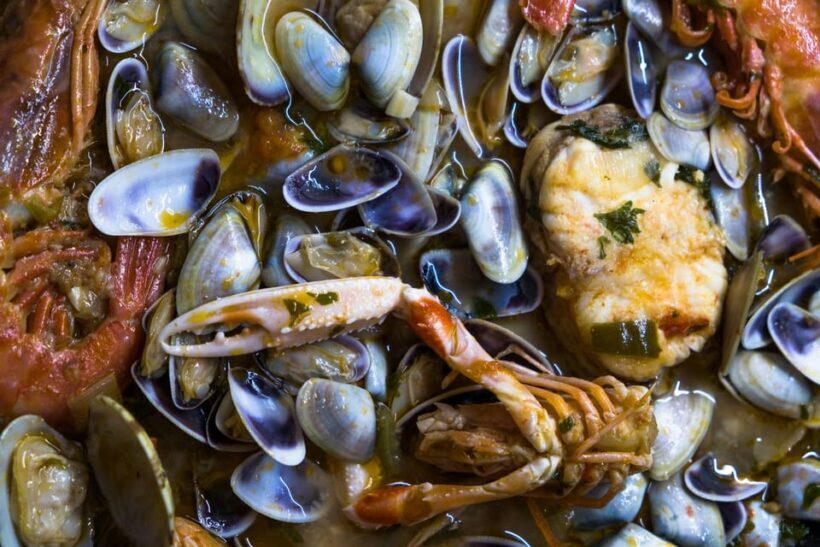 Guided Marine Life Excursion in Estepona - An In-Depth Look at the Marine Life Excursion