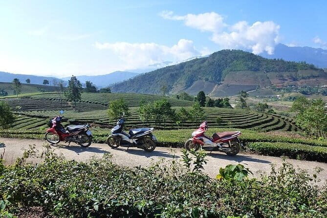 Guided Motorbike Tour to Ethnic Villages with Local Lunch in Sapa - A Closer Look at the Tour