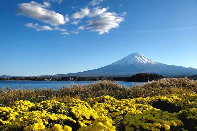 Guided Mount Fuji Private Tour GREEN NUMBER PLATES - Pickup Details and Communication
