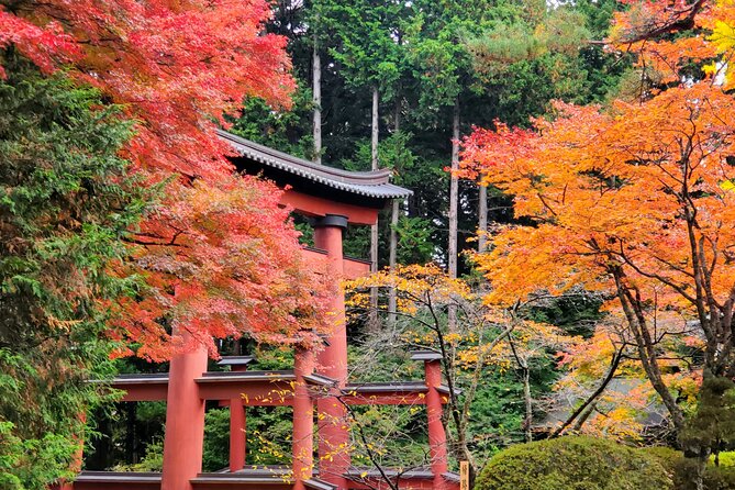 Guided Mount Fuji Private Tour GREEN NUMBER PLATES - Booking Information and Cancellation Policy