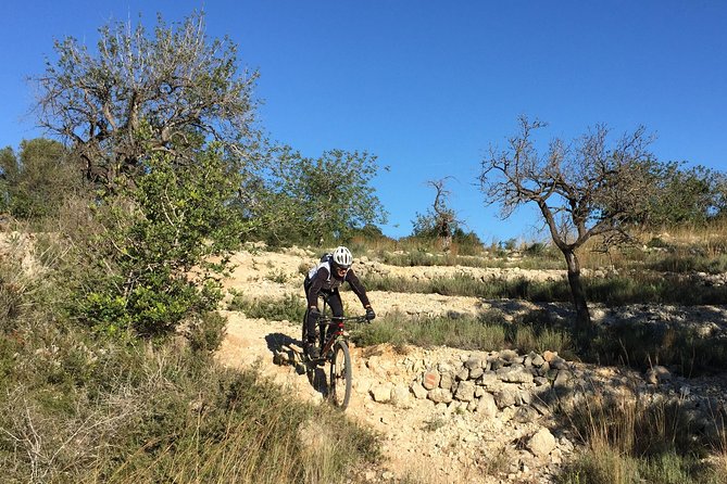 Guided Mountain Bike Route - Pata Negra Tour - Customer Reviews