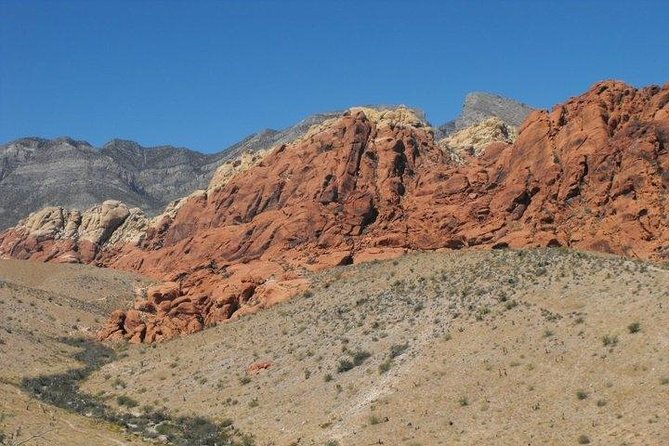Guided Mountain Bike Tour of Mustang Trail in Red Rock Canyon - Inclusions and Exclusions