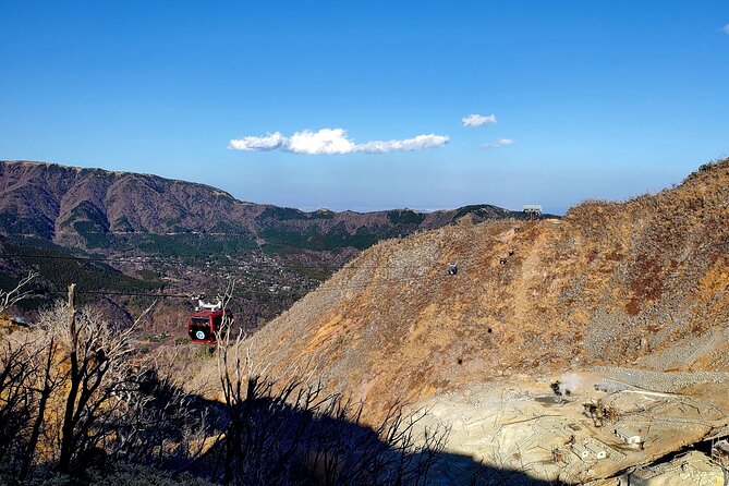 Guided Mt. Fuji & Hakone Tour Bullet Train Return GREEN NUMBER - Tour Experience and Feedback