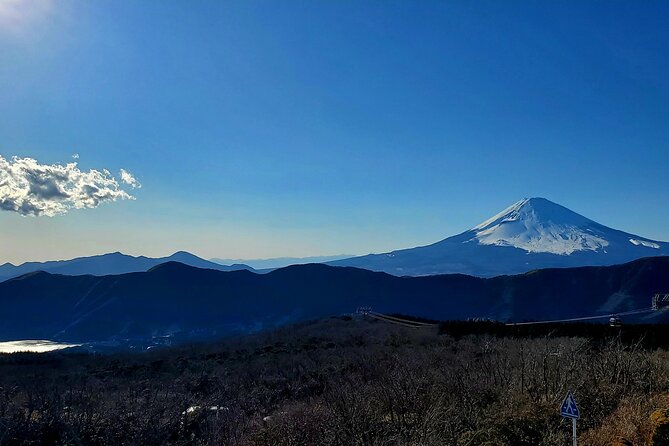 Guided Mt. Fuji & Hakone Tour Bullet Train Return GREEN NUMBER - Bullet Train Journey Back to Tokyo