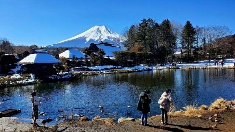 Guided Mt. Fuji & Hakone Tour GREEN NUMBER PLATES - Itinerary Highlights