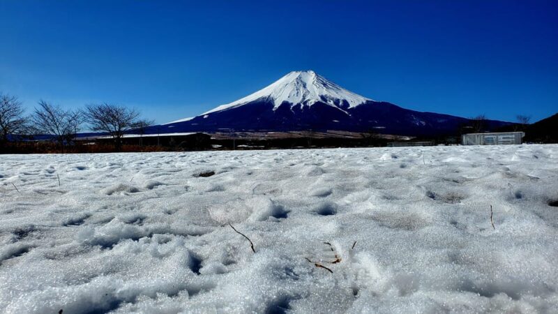 Guided Mt. Fuji & Hakone Tour GREEN NUMBER PLATES - Tour Inclusions