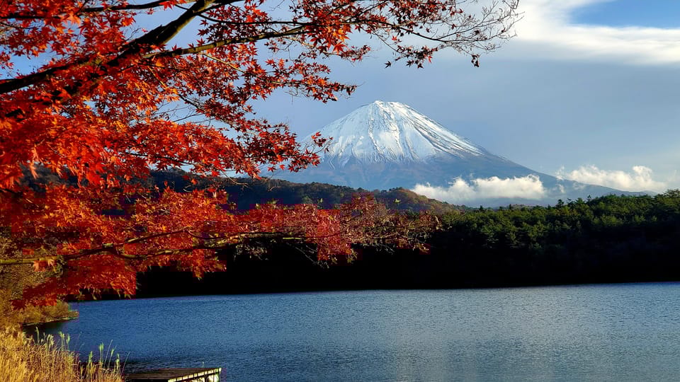 Guided Mt. Fuji & Hakone Tour GREEN NUMBER PLATES - Customer Reviews and Recommendations
