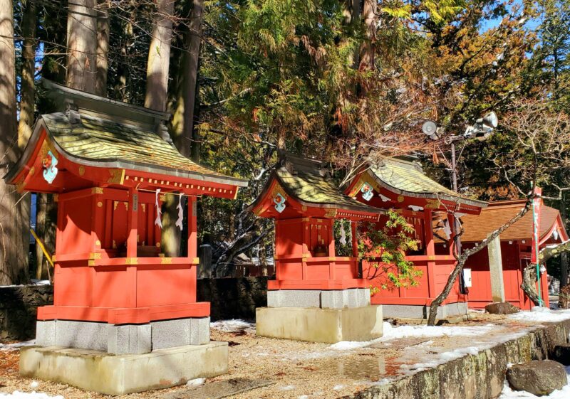 Guided Mt. Fuji & Hakone Tour GREEN NUMBER PLATES - Exploring Mount Fuji and Hakone