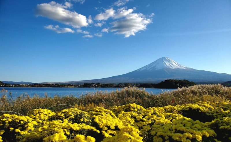 Guided Mt Fuji Private Tour GREEN NUMBER PLATES - Important Information