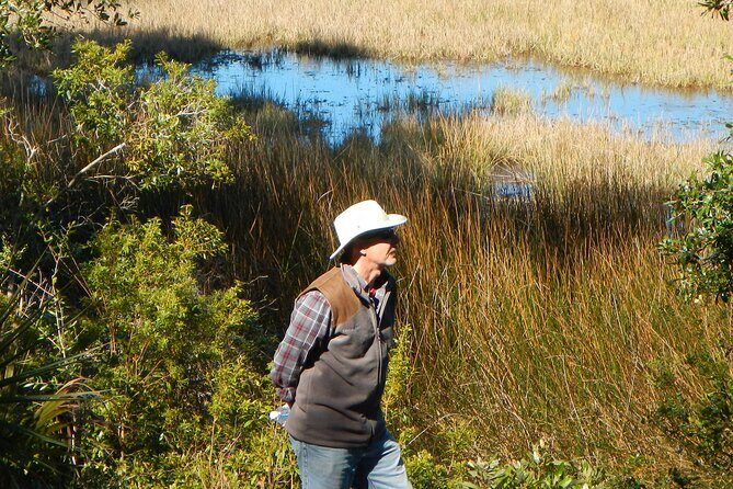 Guided Nature Hikes in NE Florida & SE Georgia - An In-Depth Look at the Experience