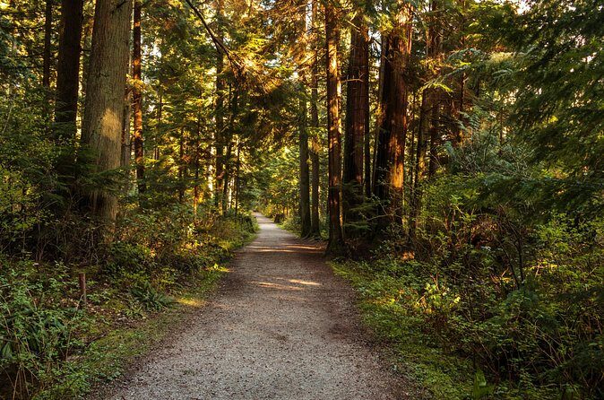 Guided Oceanside Private Hike - The Authenticity and Balance