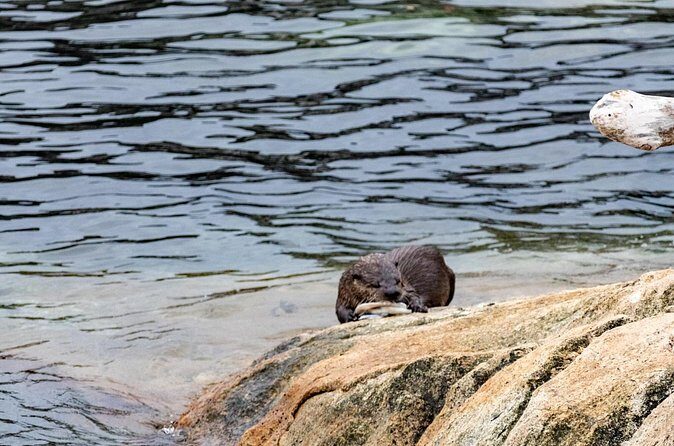 Guided Oceanside Private Hike - FAQ