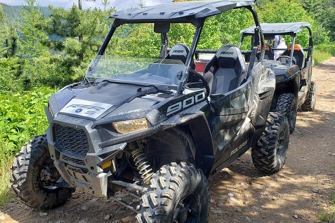 Guided Off-Road Vehicle Tours in North Idaho Forests - What to Expect from the Experience