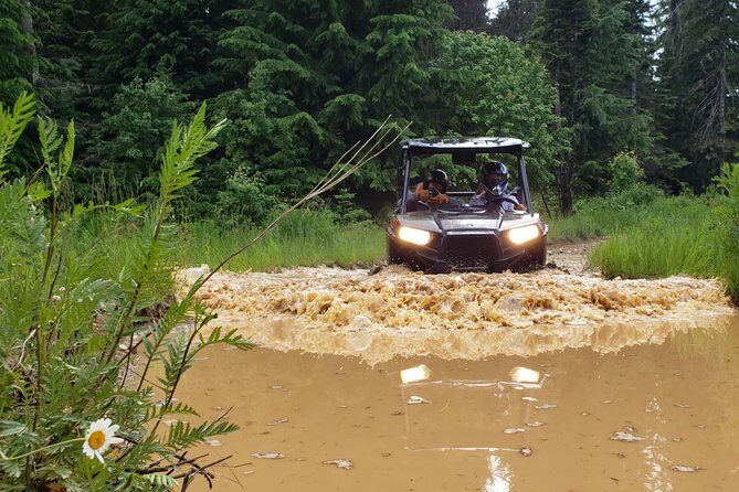 Guided Off-Road Vehicle Tours in North Idaho Forests - Who Should Consider this Tour?