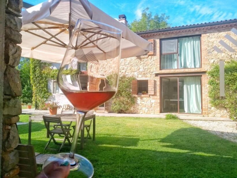 Guided Olive Oil & Wine Tour From Padua - Exploring the Heart of the Euganean Hills