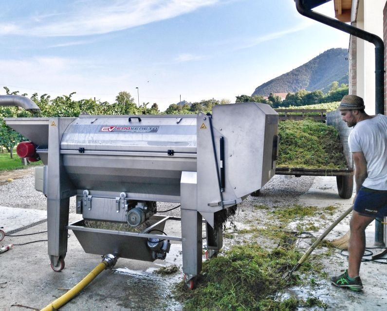 Guided Olive Oil & Wine Tour From Padua - The Vineyards and the Winery