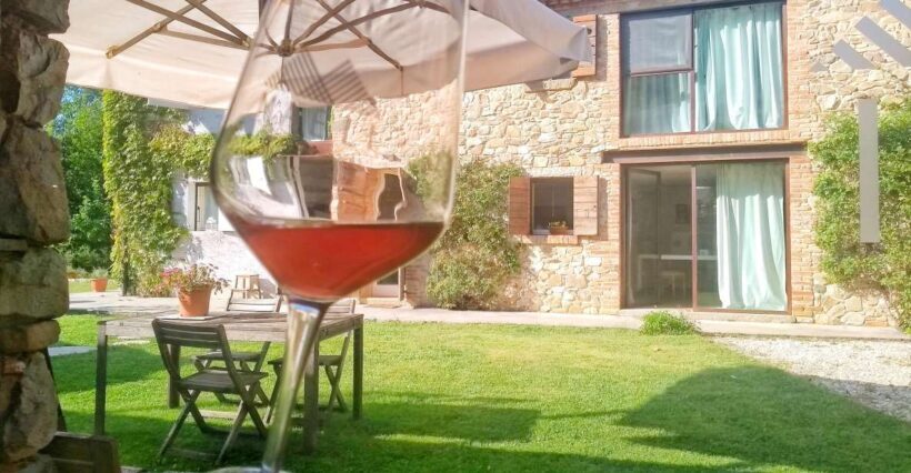 Guided Olive Oil & Wine Tour From Padua - Practicalities and Value