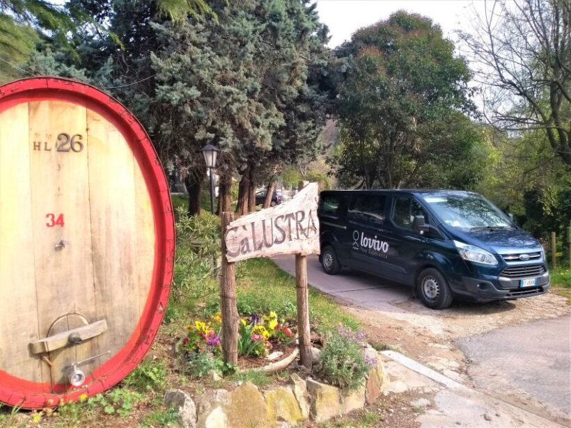 Guided Olive Oil & Wine Tour From Padua - Who Will Love This Tour?