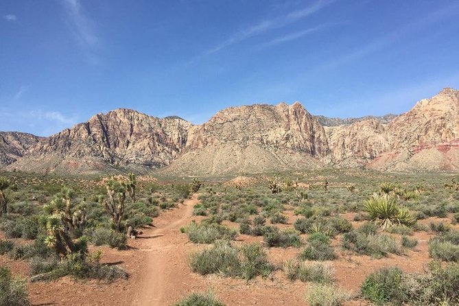 Guided or Self-Guided Road Bike Tour of Red Rock Canyon - Customer Experiences and Feedback