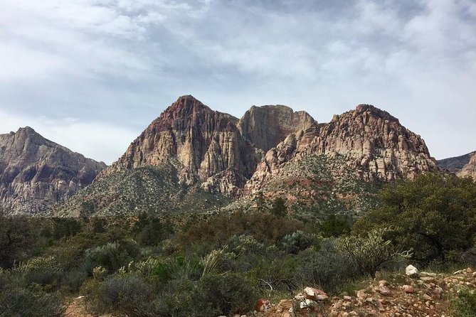 Guided or Self-Guided Road Bike Tour of Red Rock Canyon - Important Considerations for Participants