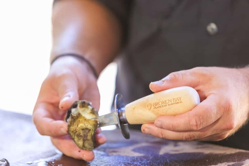 Guided Oyster Tasting - Introduction