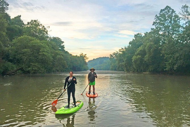 Guided Paddleboard Tour Through Asheville's River Arts District - The Value of This Tour