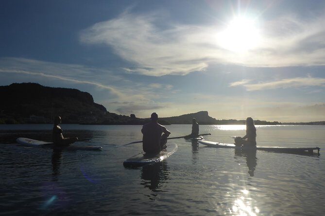 Guided paddleboarding (SUP) mangrove ECO tour for beginners - Is This Tour Right for You?