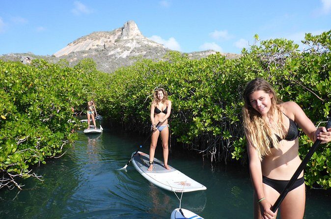 Guided paddleboarding (SUP) mangrove ECO tour for beginners - FAQ: Your Questions About the Paddleboard Mangrove Eco-Tour