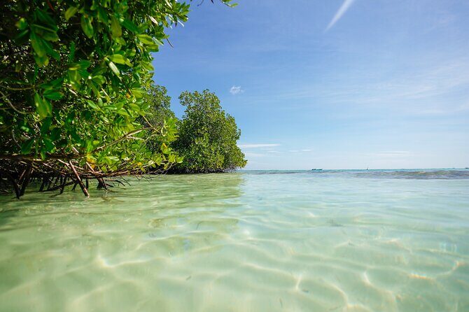 Guided Padi Discover Scuba Diving for Non-Certified Divers - A Thorough Breakdown of the Itinerary