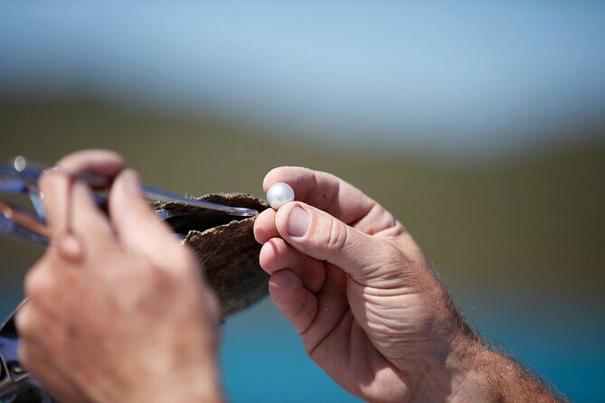 Guided Paspaley Pearl Farm Tour with Return Transfers - Key Points