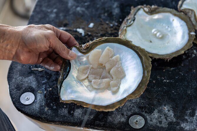 Guided Paspaley Pearl Farm Tour with Return Transfers - Frequently Asked Questions