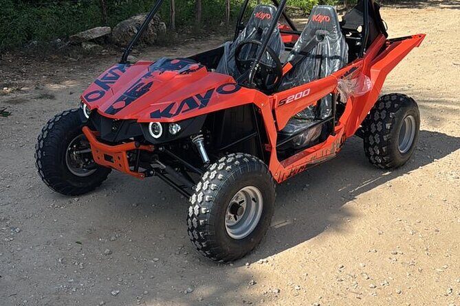 Guided Polaris Buggy Tour to Punta Cana - Key Points