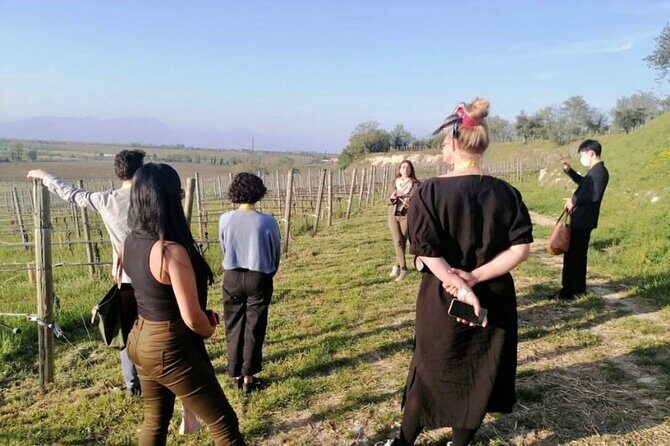 Guided Premium Tour in Lugana DOC - 5 wines from Perla del Garda - Analyzing the Value and Practicalities